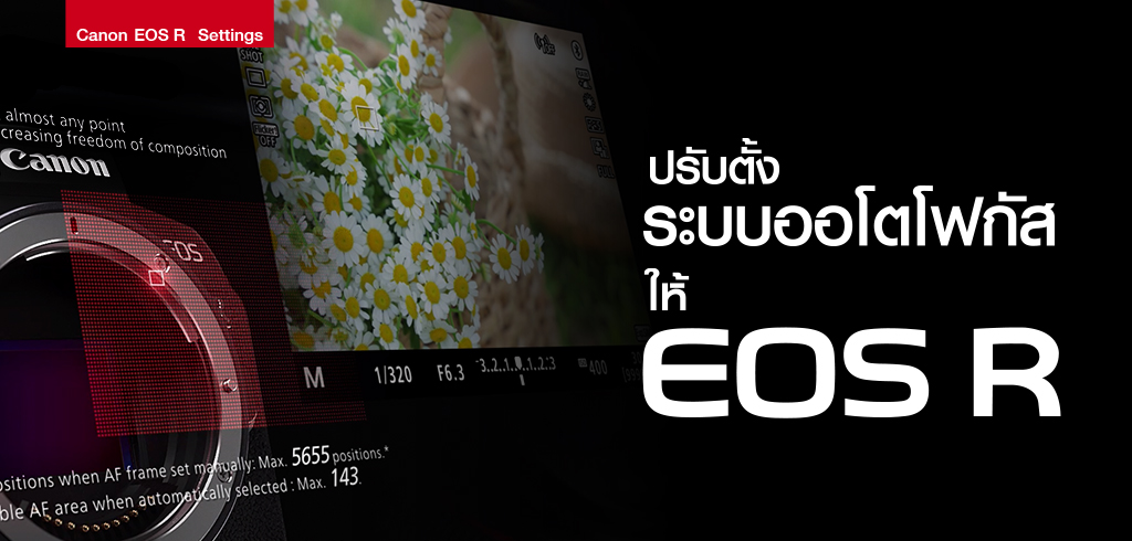 Canon EOS R Settings EP.3 : ปรับตั้งระบบออโตโฟกัสให้ EOS R-Fotoinfo ...