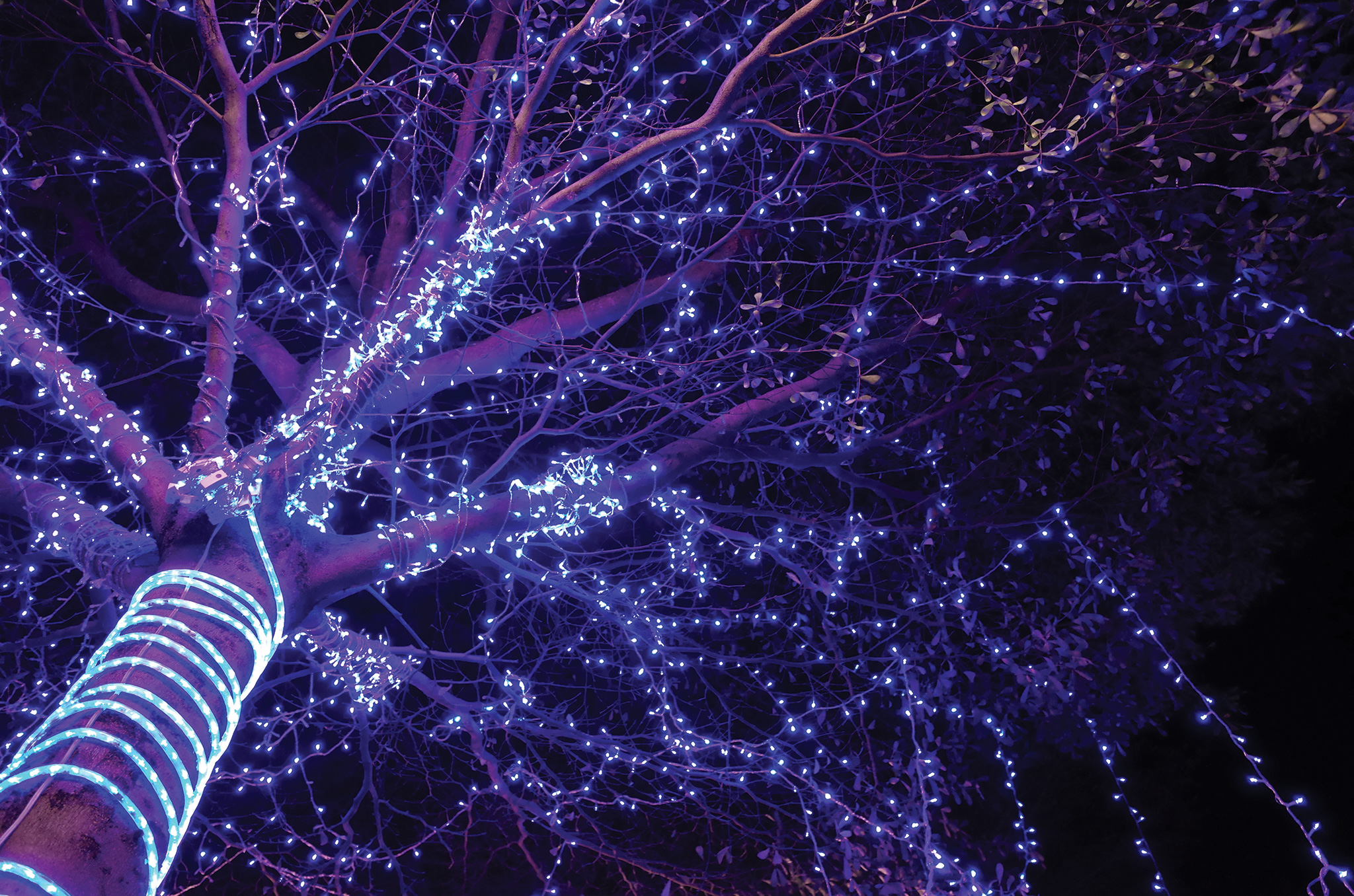 6 Common Lens Aberrations-Fotoinfo Magazine