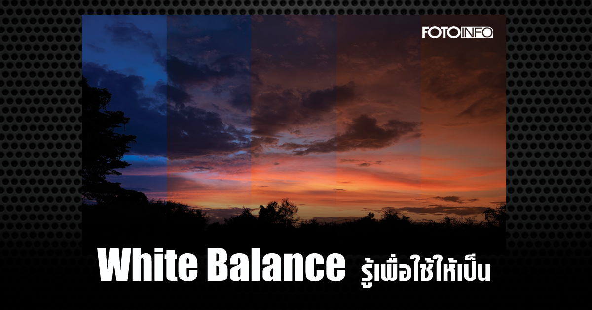 White Balance รู้เพื่อใช้ให้เป็น-Fotoinfo Magazine