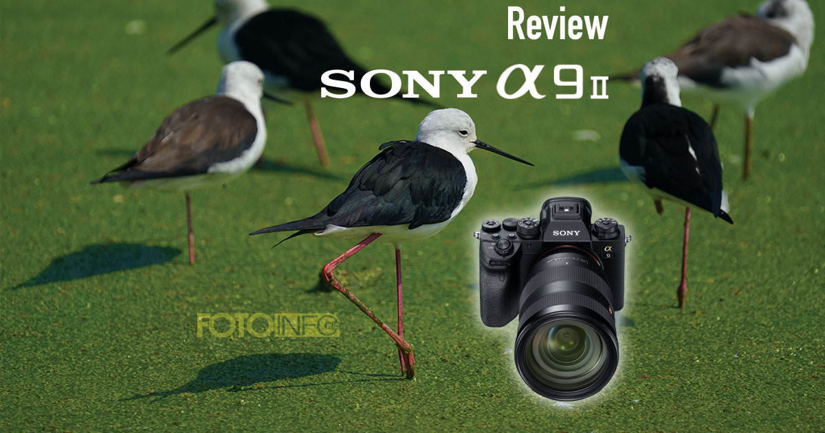 Review : SONY A9 II-Fotoinfo Magazine