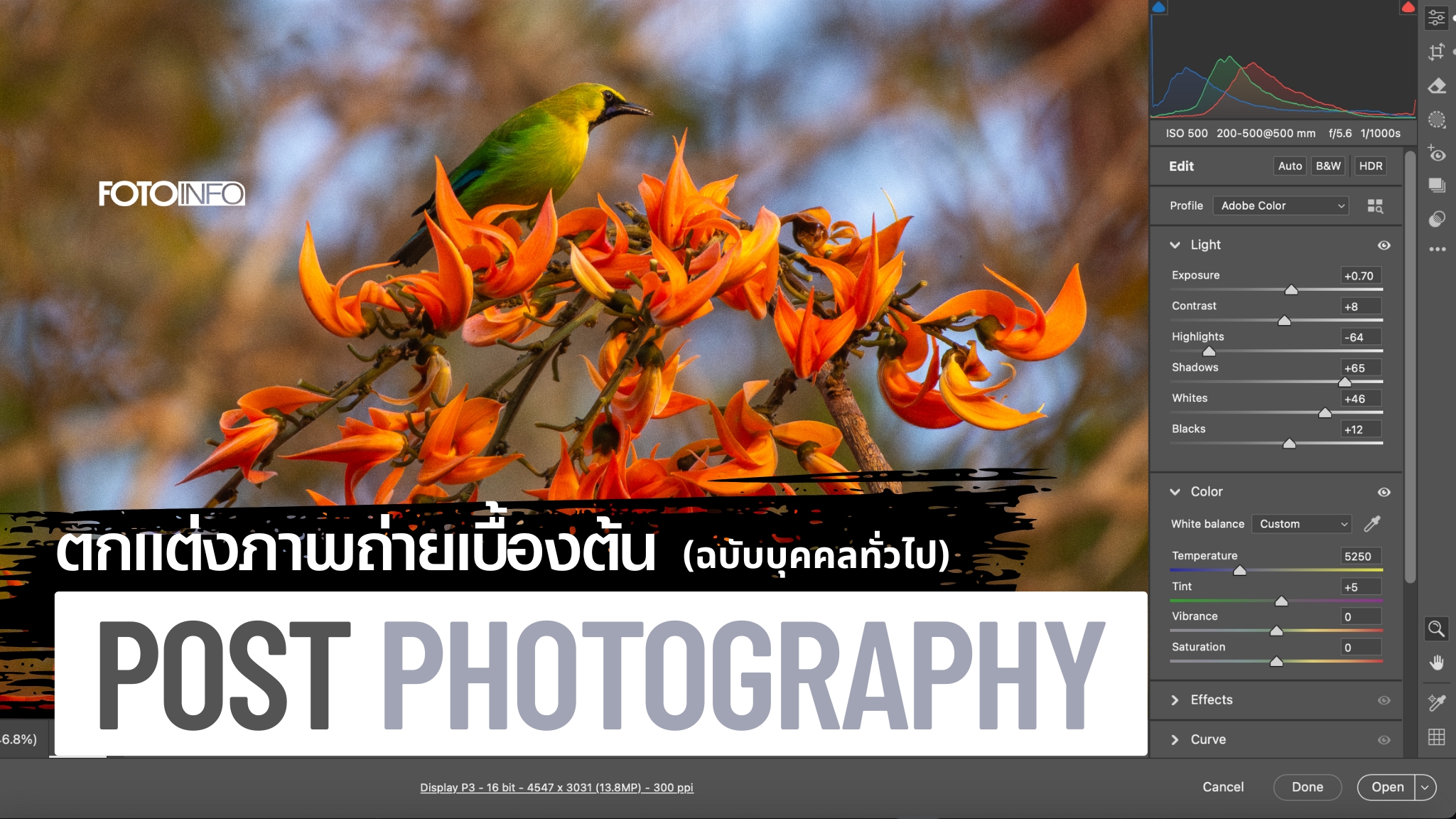 Post Photography การตกแต่งภาพถ่ายเบื้องต้น - Fotoinfo Magazine